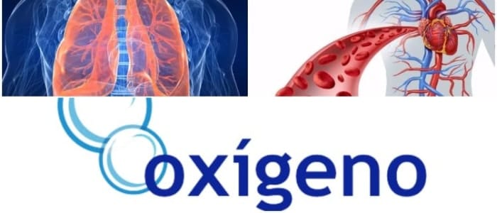 PO2 o Presión Parcial de Oxígeno: Definición, Importancia y Factores ...