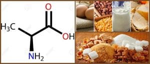 Alanina: Definición, Función, Estructura, Propiedades y Fuentes Naturales