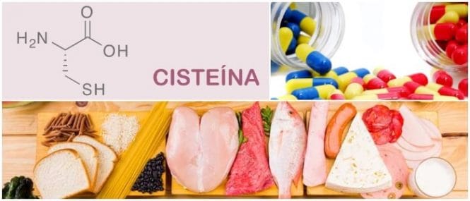 Cisteina: Importancia, Toxicidad, Usos, Fuentes Dietéticas ...