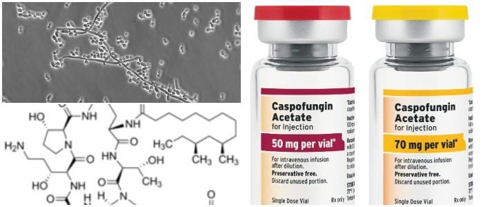 Caspofungina: Formula, Indicaciones, Mecanismo de Acción, Dosis ...