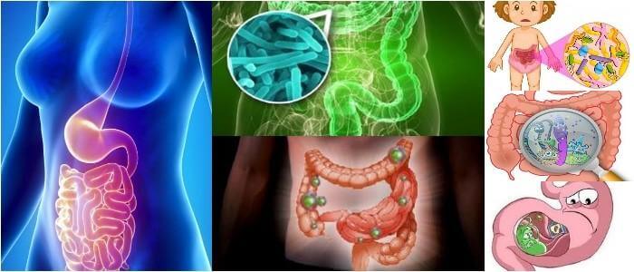 Infección Gastrointestinal: ¿Qué Es? Tipos, Causas, Síntomas ...