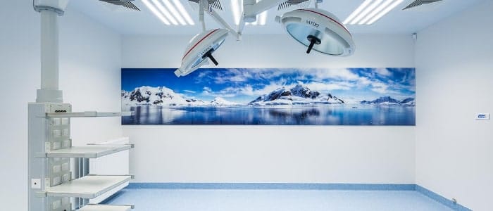 Panendoscopia: ¿Qué Es? Usos, Preparación, Procedimiento ...