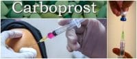 Carboprost: Indicaciones, Dosificación, Contraindicaciones, Efectos ...
