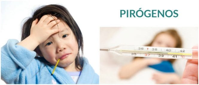 Pirógenos: Definición, Lugares Activos, Prueba de Pirógenos y Origen