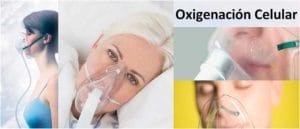 Oxigenación: Definición, Función, Importancia Médica y Maneras de ...
