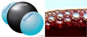 TCO2: Definición, Indicaciones, Preparación, Procedimiento, Resultados ...